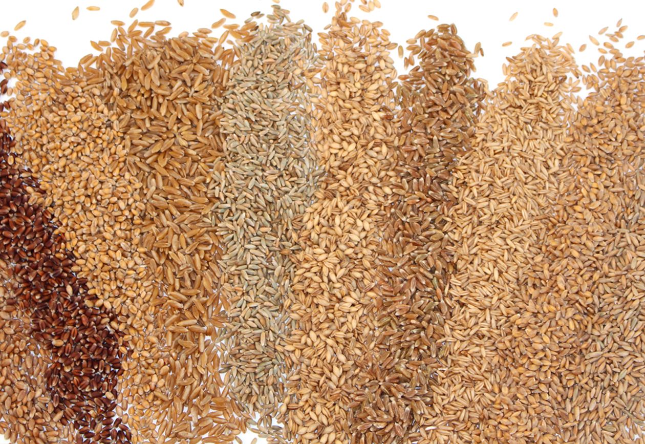 Getreideprodukte selbst herstellen