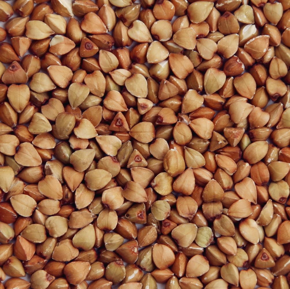 Bio Buchweizen versandkostenfrei direkt vom Biolandhof Knauf